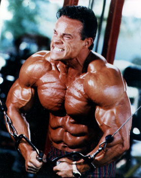 Product Catalogue | GMV Bodybuilding DVDs – Male & Female Bodybuilding ...