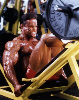 Product Catalogue | GMV Bodybuilding DVDs – Male & Female Bodybuilding ...