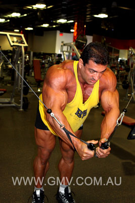 Product Catalogue | GMV Bodybuilding DVDs – Male & Female Bodybuilding ...