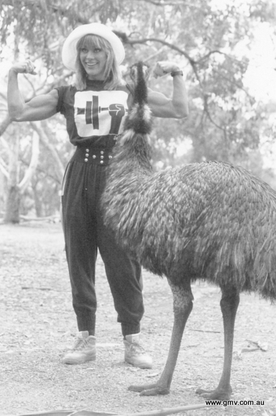 Male and Female Bodybuilder Photo Galleries | GMV Bodybuilding DVDs ...