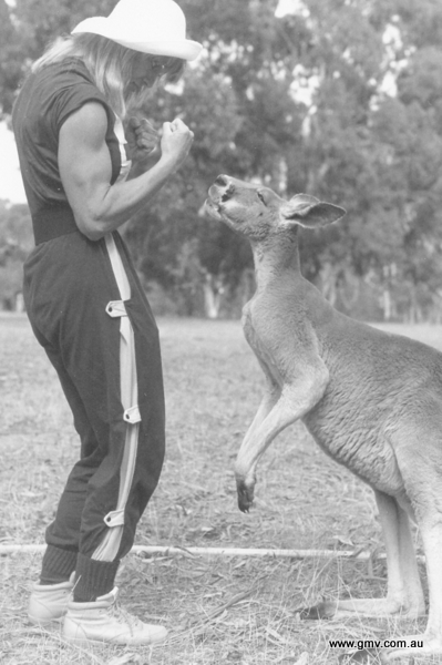 Male and Female Bodybuilder Photo Galleries | GMV Bodybuilding DVDs ...