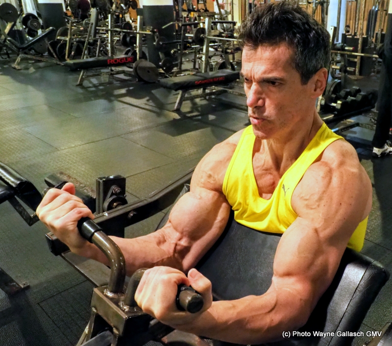 Product Catalogue | GMV Bodybuilding DVDs – Male & Female Bodybuilding ...