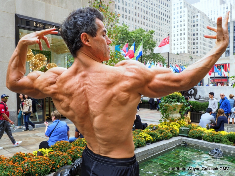 Product Catalogue | GMV Bodybuilding DVDs – Male & Female Bodybuilding ...