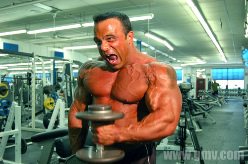 Home | GMV Bodybuilding DVDs – Male & Female Bodybuilding DVDs – GMV ...