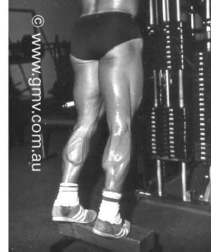 Male and Female Bodybuilder Photo Galleries | GMV Bodybuilding DVDs ...